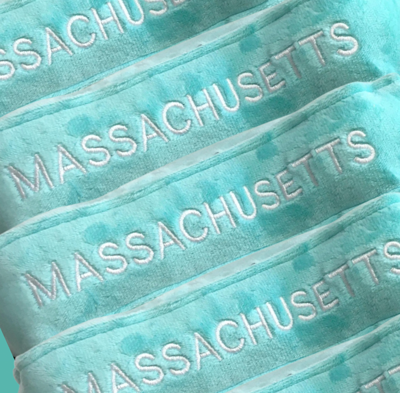 Massachusetts State Plush Doll - Stuffed States USA – Setting The Space